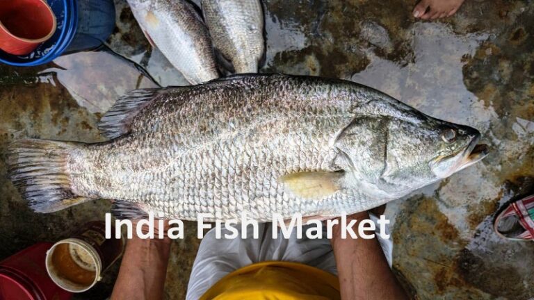 Fish Shop Franchise- How to Start Fish Business in India